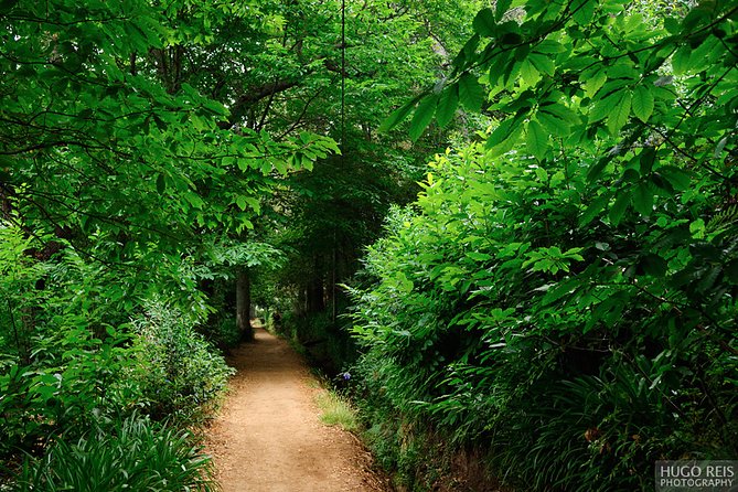 Vale Paraiso - Paradise Valley Walk - Exploring Madeira with the Vale Paraiso - Paradise Valley Walk