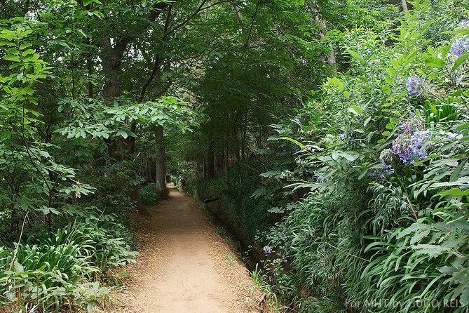 Vale Paraiso - Paradise Valley Walk - Practical Tips for Travelers