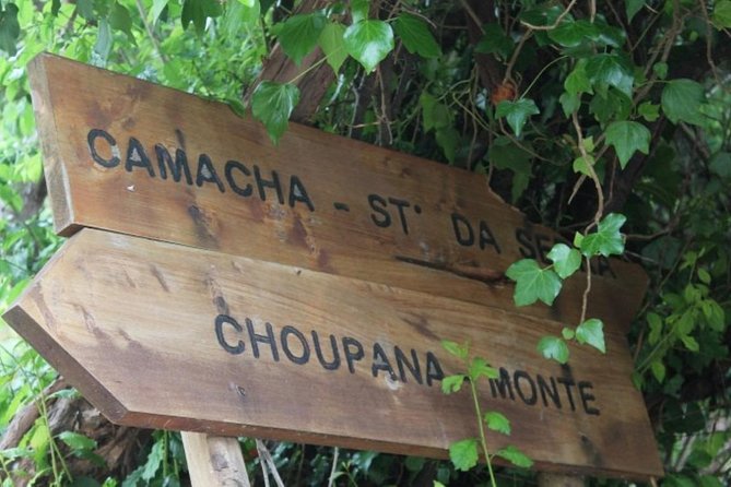 Vale Paraíso - Rochão (Half Day Walk) - The Sum Up: Why It’s Worth Your Time