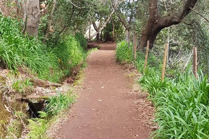 Vale Paraíso - Rochão (Half Day Walk) - FAQs about the Vale Paraíso - Rochão Half Day Walk