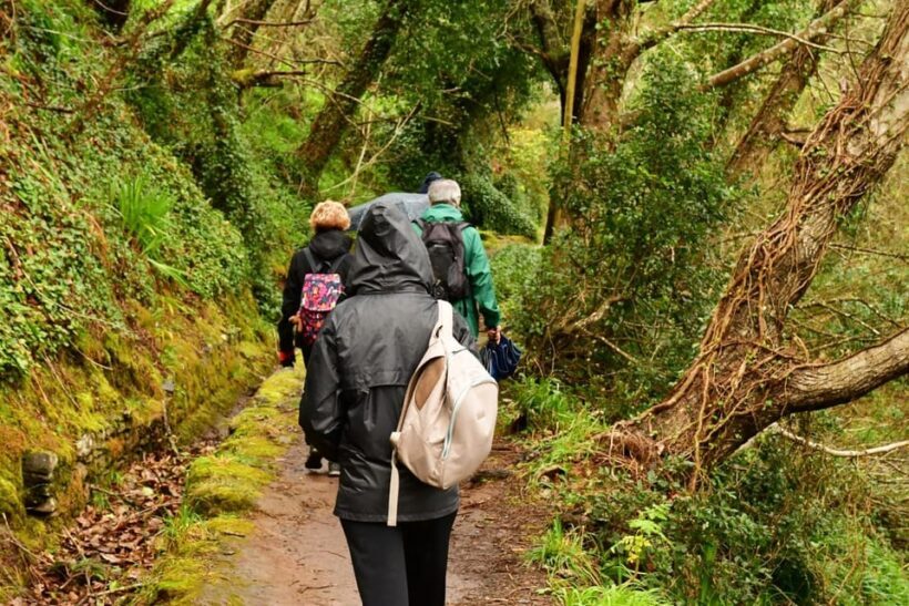 Vale Paraíso Rochão Madeira Island Walk - Why This Tour Offers Real Value