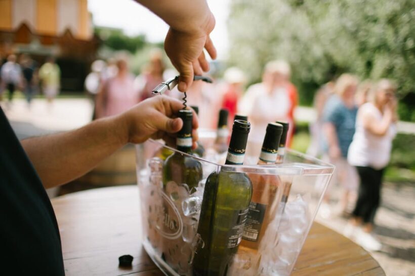Valeggio: Summer Sips - 3 young wines with guided winery tour. - The Itinerary in Detail