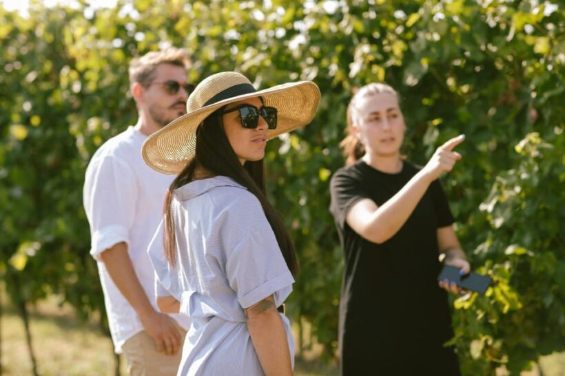 Valeggio: The Soul of the Territory in 5 Wines and Guided Winery Tour - Final Thoughts: Is It Worth It?