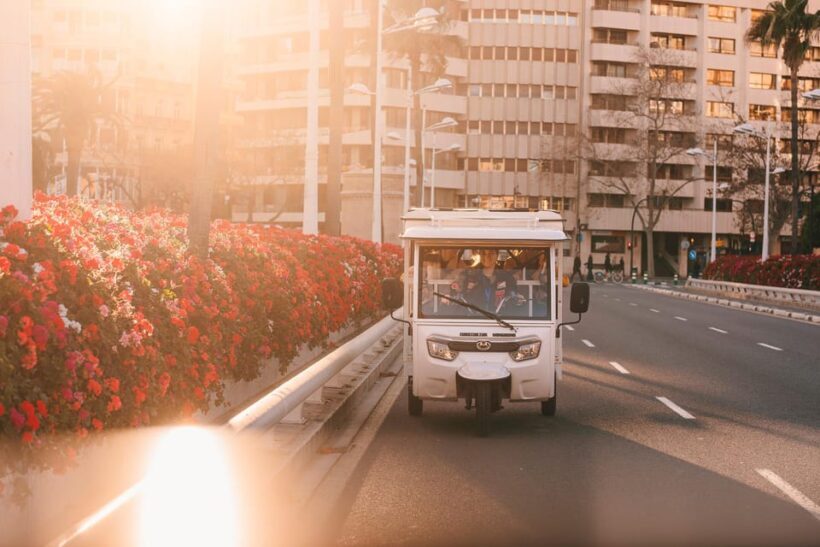Valencia 1 hour by TukTuki: Essential and Private Tour - An Overview of the Experience