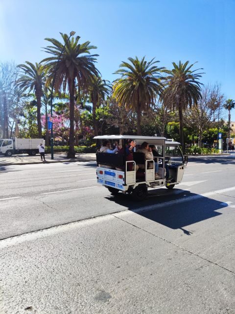 Valencia: 2-hour City Highlights Guided Tuk-Tuk Tour - Practical Insights: What to Expect
