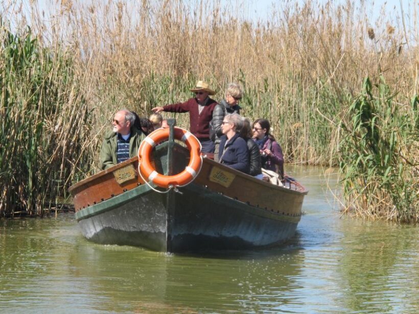 Valencia: 48-Hour Hop-On-Hop-Off Bus & Albufera Bus Tour - What’s the Overall Value?