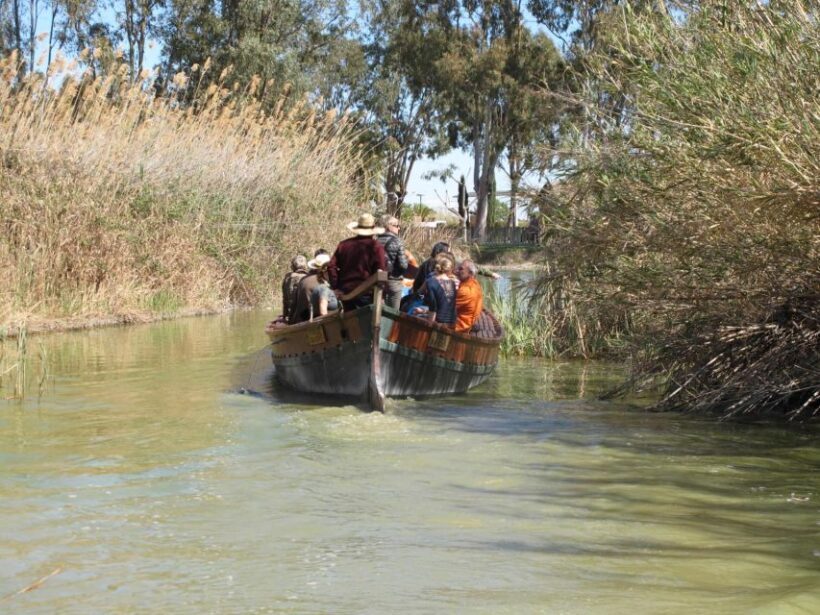 Valencia: 48-Hour Hop-On-Hop-Off Bus & Albufera Bus Tour - Who Should Consider This Tour