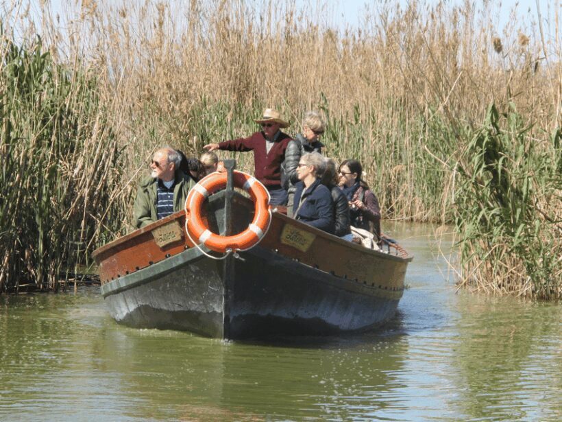 Valencia: 48-Hour Hop-On-Hop-Off Bus & Albufera Bus Tour - Final Thoughts