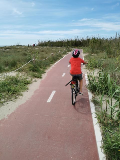 Valencia: Albufera Natural Park Bike and Boat Tour - An Overview of the Valencia: Albufera Natural Park Bike and Boat Tour