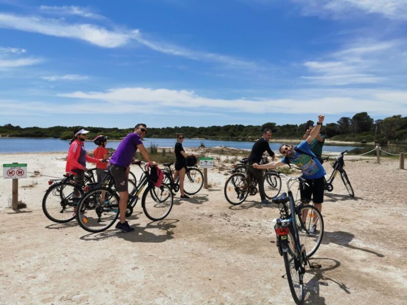 Valencia: Albufera Natural Park Bike and Boat Tour - Ending the Day: Reflection and Return