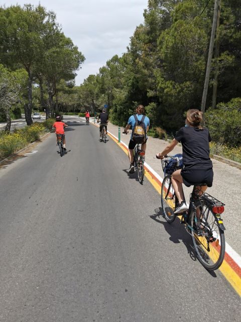 Valencia: Albufera Natural Park Bike and Boat Tour - Frequently Asked Questions