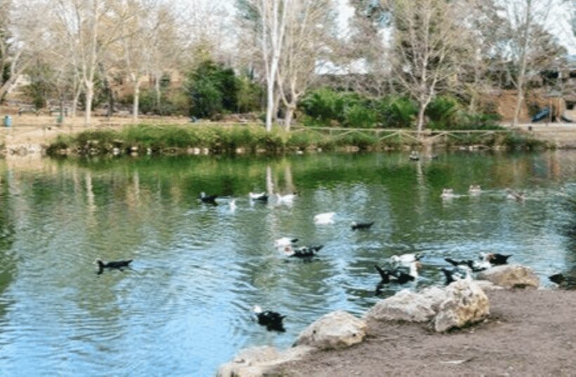 Valencia: Anna Alhambra and 3 Waterfalls Guided Tour - Key Points