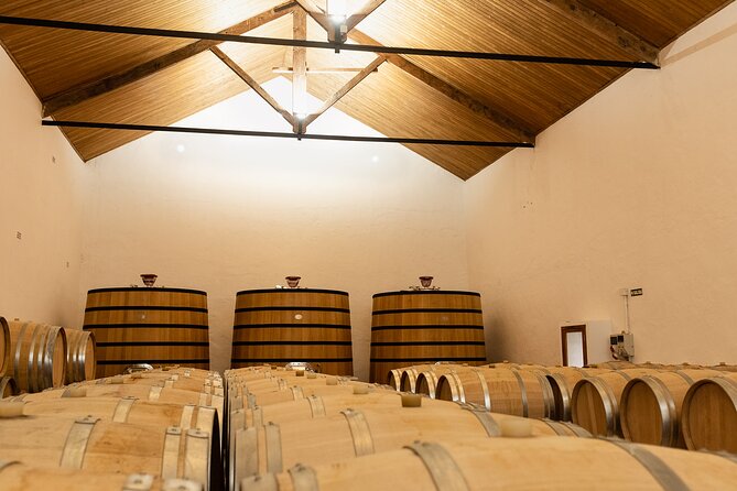 Valencia: Barrels and dishes of typical local Gastronomy - Practical Considerations