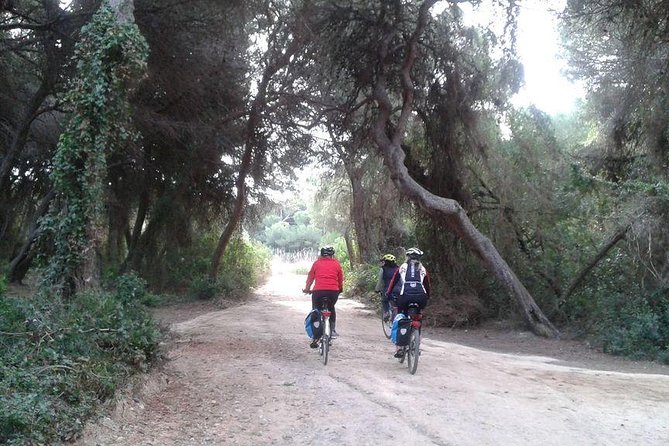 Valencia Bike or Segway Tour - Frequently Asked Questions