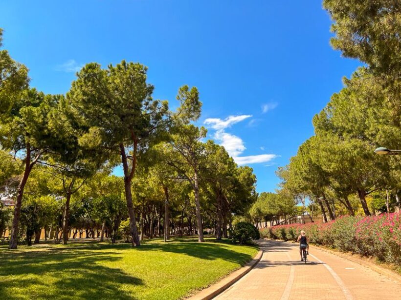 Valencia Bike Tours: City Highlights - The Sum Up