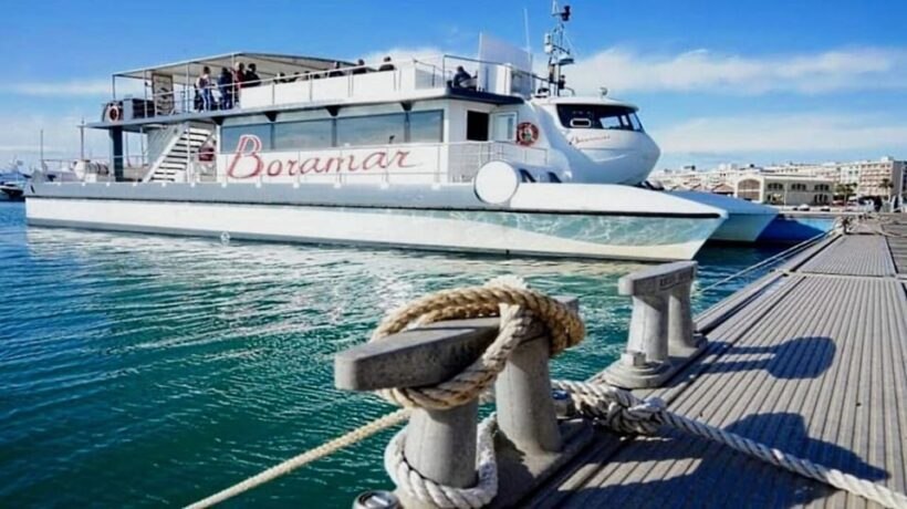 Valencia: Catamaran Cruise, Paella Lunch and Swim Stop - The Sum Up