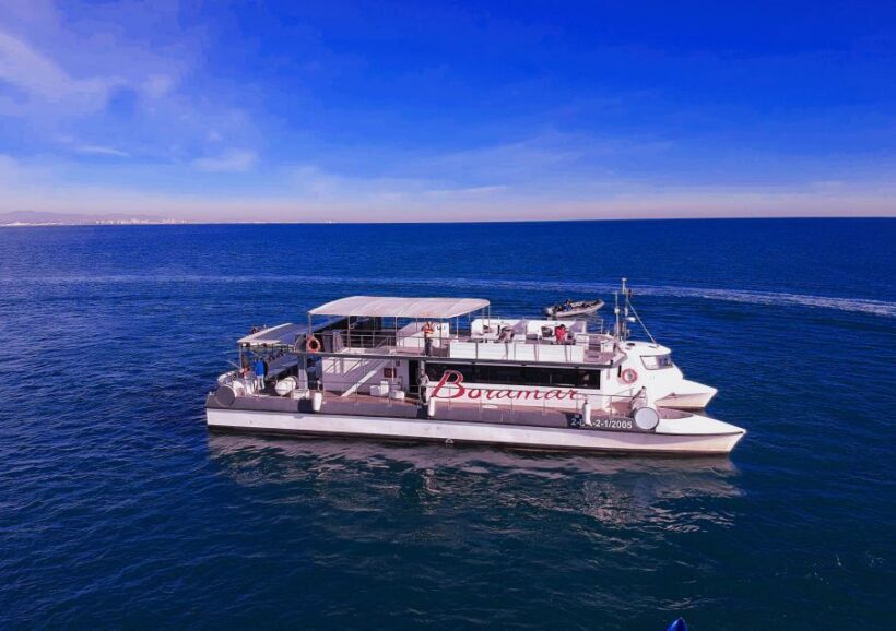 Valencia: Catamaran Cruise with Stop for Swimming - Key Points