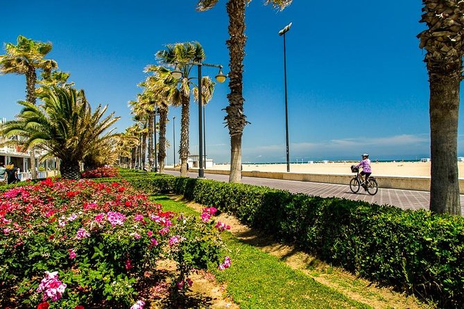 Valencia Complete Full Private Day With Hotel Pick up - Host Communication and Support