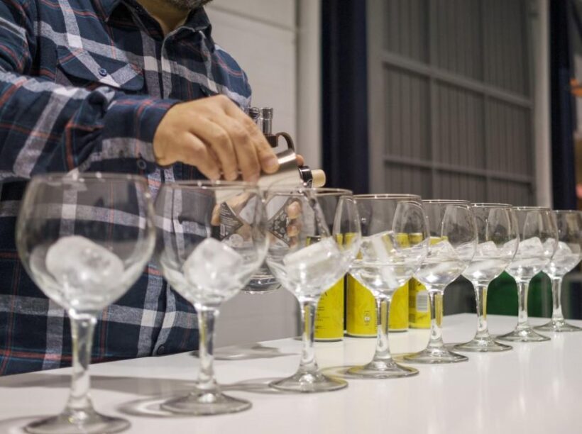 Valencia: Distillery visit and gin tasting in Benifla - Who Should Consider This Tour?
