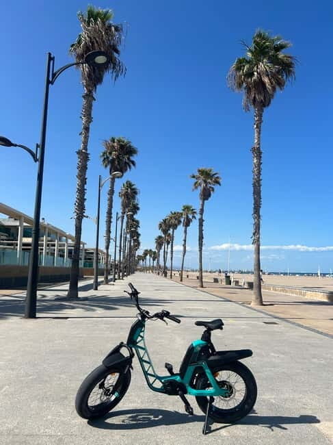 Valencia: E-bike Tour, Beaches, & City of Arts and Sciences - Who Will Love This Tour?