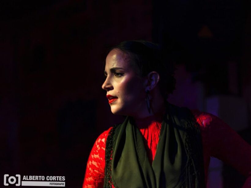 Valencia: Flamenco at Toro y La Luna with Drinks or Dinner - The Sum Up