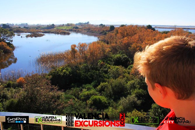 Valencia: Jeep Tour Albufera Park Review - Transportation and Driving Options