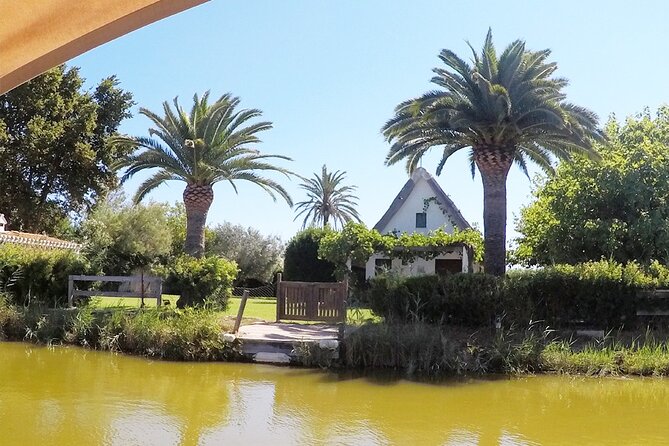 Valencia: Jeep Tour Albufera Park Review - Exploring Albufera Park by Jeep