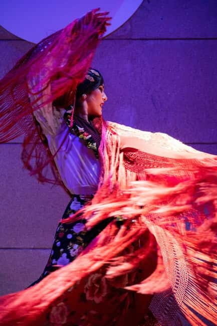 Valencia: La Linterna Flamenco Show - A Deep Dive into the Experience