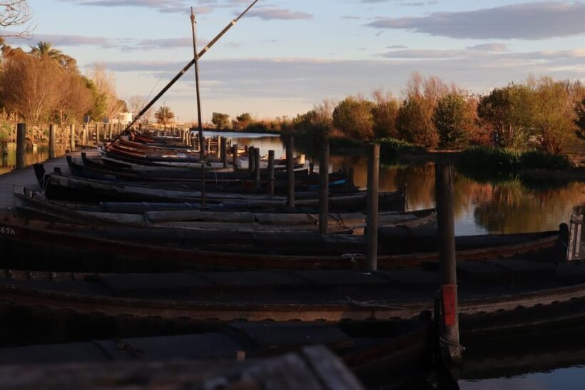 Valencia: Local Market, Boat Trip & Paella Workshop. - Who Will Love This Tour?