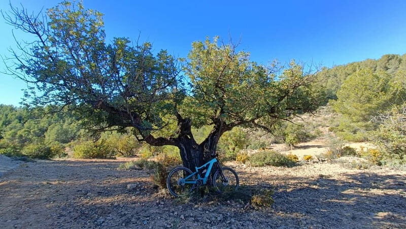 Valencia: Mountain E-Bike Tour + Transfers + Drone Footage - Practical Details and Tips