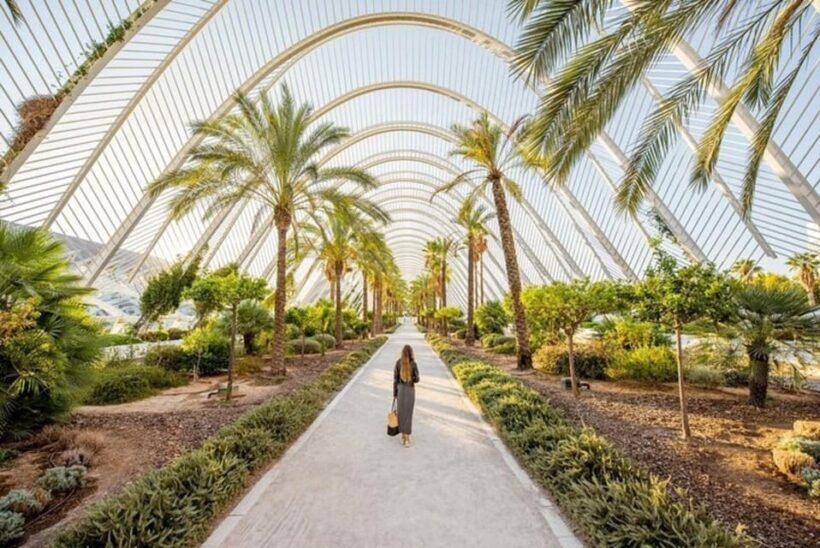 Valencia: Must-See Attractions Walking Tour - Exploring Valencia’s Architectural Marvels