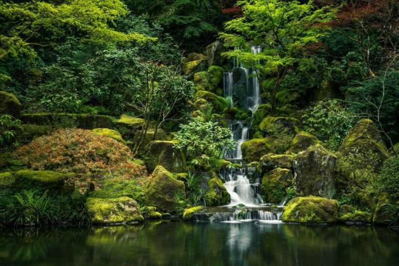 Valencia Natural Wonders: Exploring the Top 4 Waterfalls - What to Expect During Your Waterfall Adventure