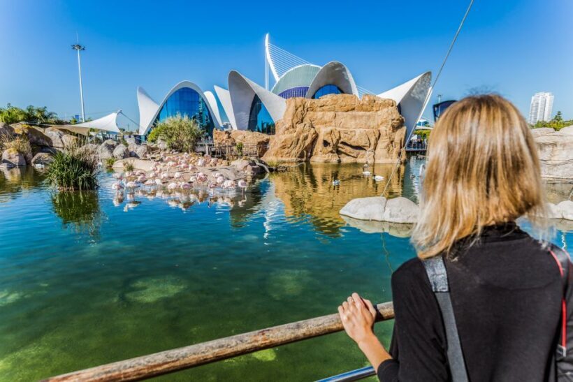 Valencia: Oceanogràfic Entry Ticket - FAQ: Practical Questions About Oceanogràfic