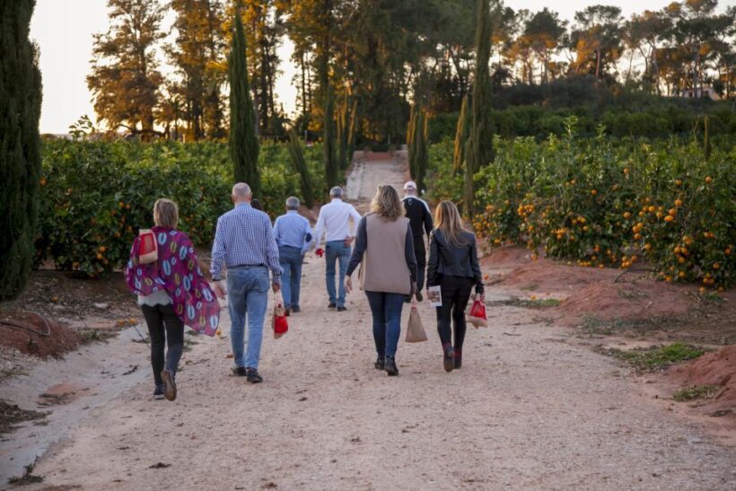 Valencia: Orange Farm and Orchard Trip with Tastings - Why Reviewers Love This Experience