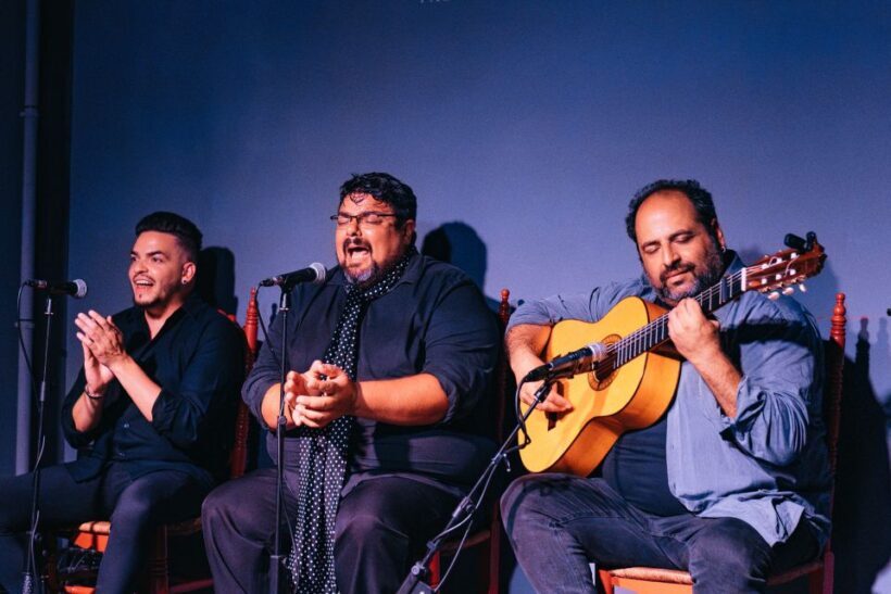 Valencia: Palosanto Flamenco Show Ticket - What You Can Expect from the Flamenco Show