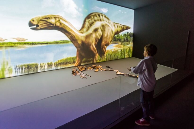 Valencia: Principe Felipe Science Museum Entry Ticket - The Sum Up: Is It Worth Your Time?