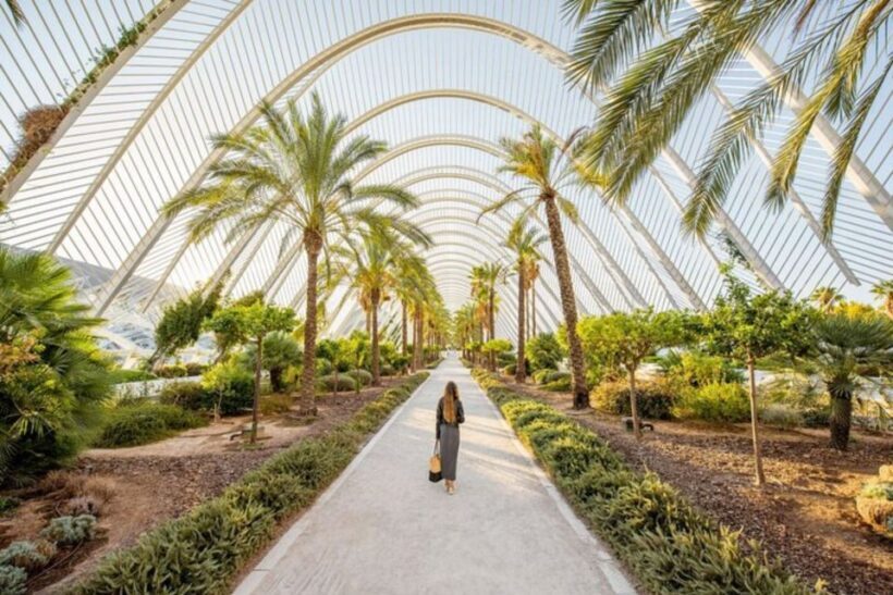 Valencia: Private custom tour with a local guide - FAQ