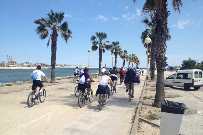 Valencia: Road to La Albufera Private Bike Tour - The Itinerary in Detail