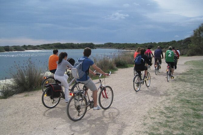 Valencia: Road to La Albufera Private Bike Tour - Authentic Experiences & Authentic Value