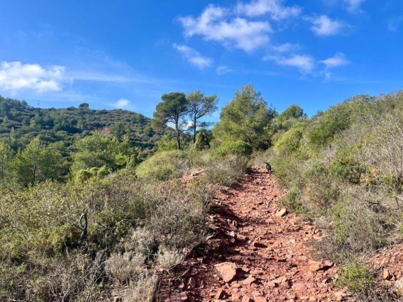 Valencia: Sierra Calderona & El Garbí Mountain hiking Tour - FAQs