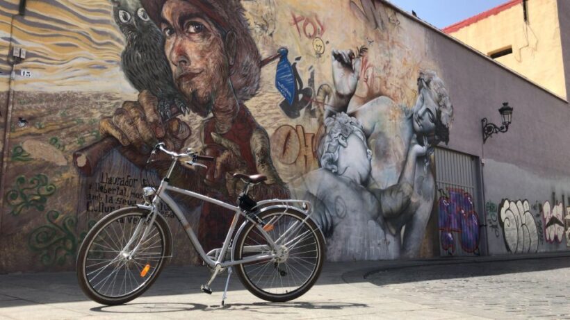Valencia: Street Art Tour on Bicycle, E-Bike or E-Step - A Closer Look at the Valencia Street Art Bike Tour