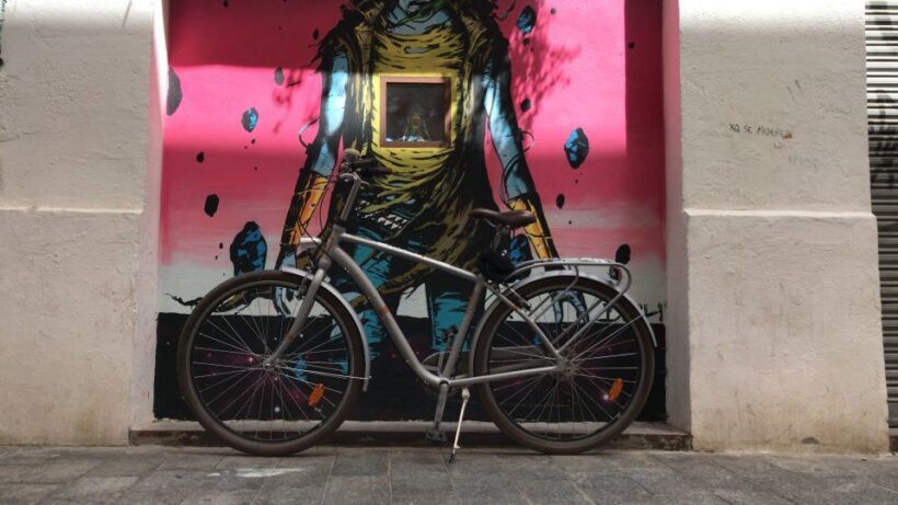 Valencia: Street Art Tour on Bicycle, E-Bike or E-Step - Who Should Consider This Tour?