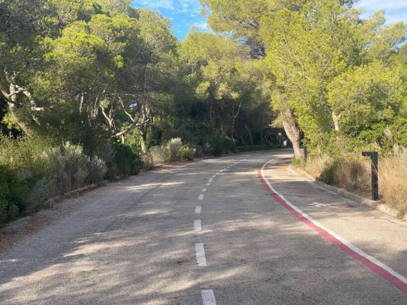 Valencia: The Albufera Lake Self-Guided E-Bike Tour - Key Points