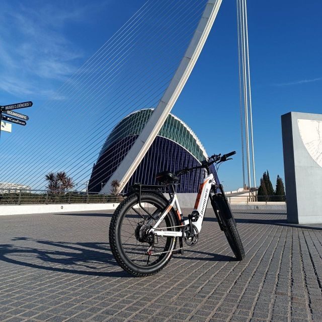 Valencia: The Albufera Lake Self-Guided E-Bike Tour - Discovering Valencia on Two Wheels