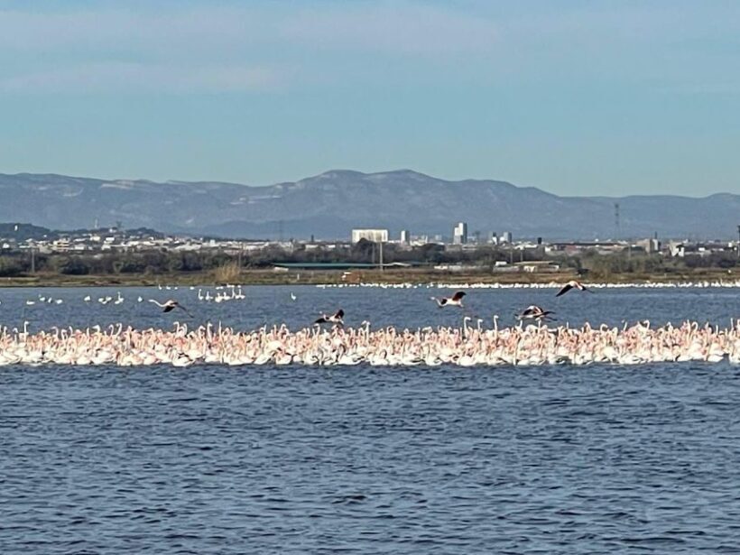 Valencia: The Albufera Lake Self-Guided E-Bike Tour - Practical Aspects of the Tour