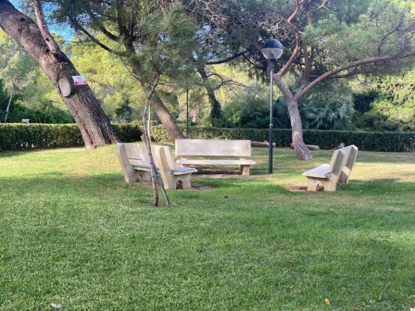 Valencia: The Albufera Lake Self-Guided E-Bike Tour - Our Take: Benefits and Considerations