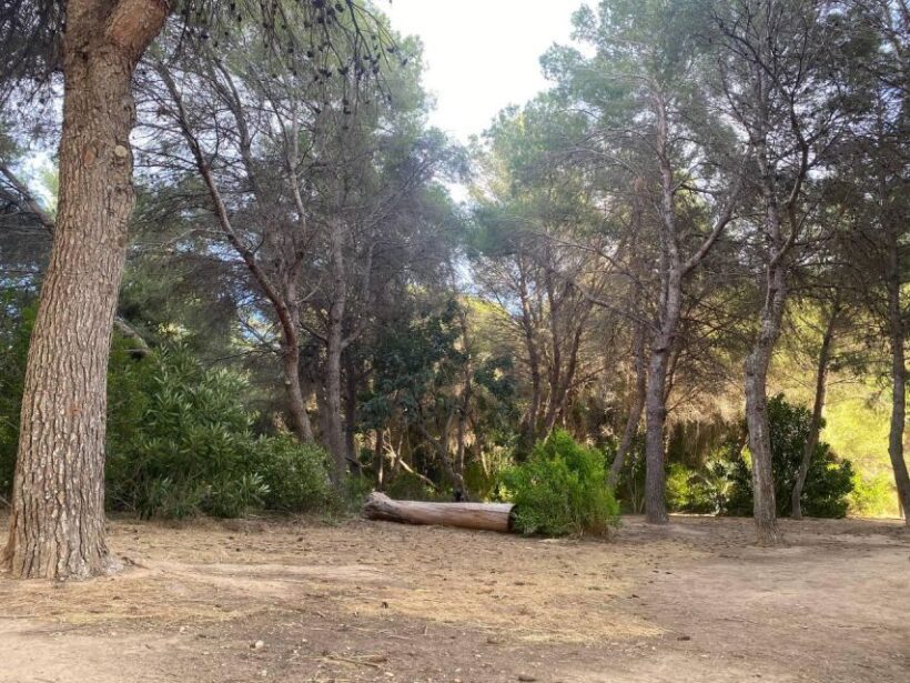 Valencia: The Albufera Lake Self-Guided E-Bike Tour - Final Thoughts