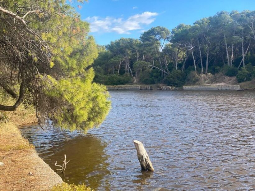 Valencia: The Albufera Lake Self-Guided E-Bike Tour - FAQ