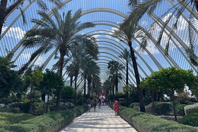 Valencia: Top 25 Highlights Guided Bike Tour - Accessibility and Participation