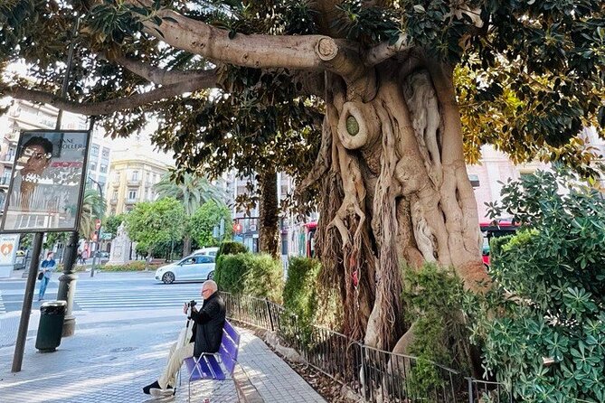 Valencia: Top 25 Highlights Guided Bike Tour - Notable Features of the Tour Guides